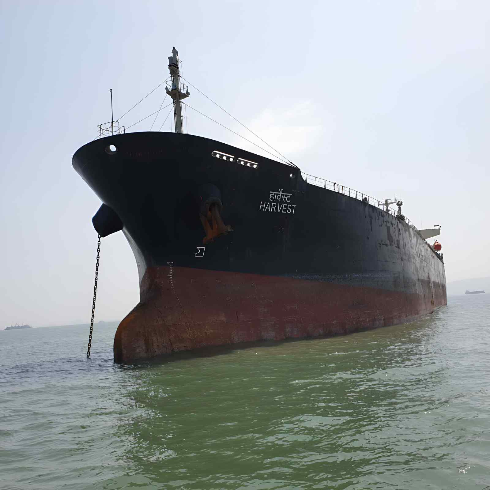 Seven Islands Shipping